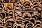 Natural Cork Co